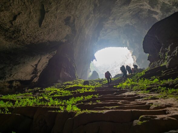 Discover Son Doong Cave Geology & Its Unique Ecosystems - Sun Getaways