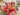 Understanding Vietnamese Family Structure: A Cultural Perspective - Sun ...