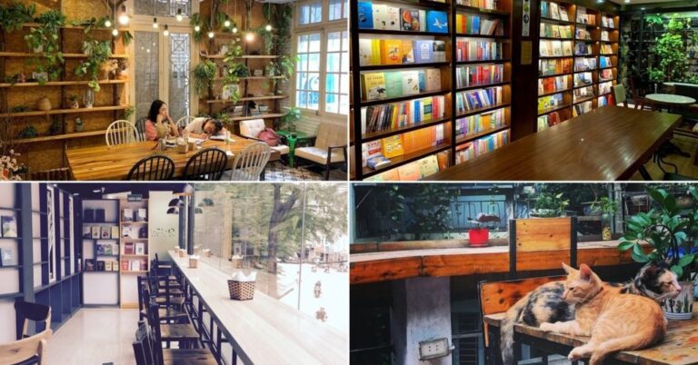 Hanoi Book Store Guide: Best Places for Book Lovers in the Capital ...