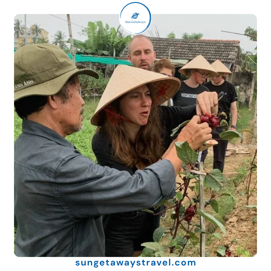 The Ultimate Guide to an Authentic Rice Farming Experience in Vietnam ...