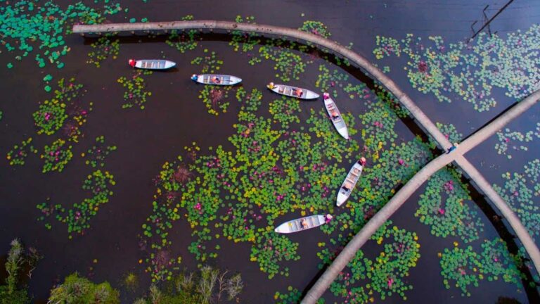 Best Floating Villages in Vietnam: A Must-See Water Wonderland - Sun ...